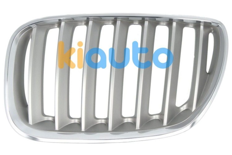 51137124815 | Grille BMW X5 (E53) 2004-2006 Face gauche